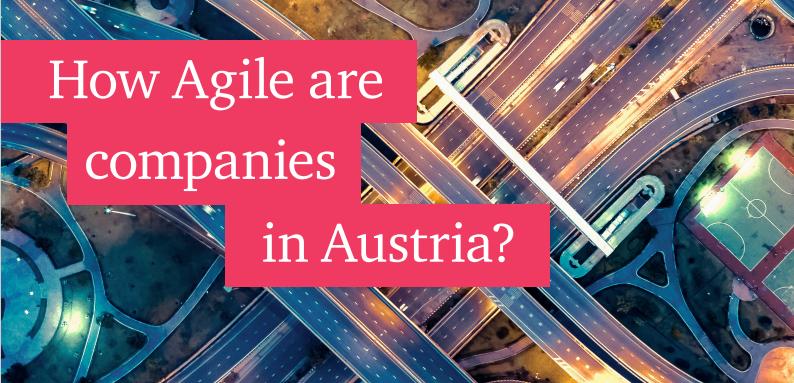 Agility Maturity Quick Assessment | PMI Austria